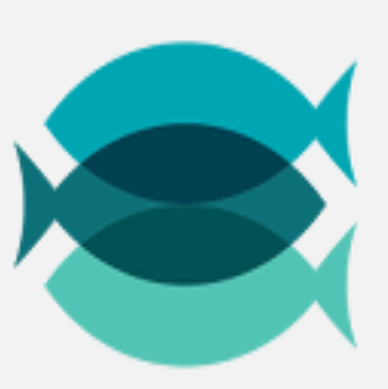 Gavin Peng | Professional Portfolio